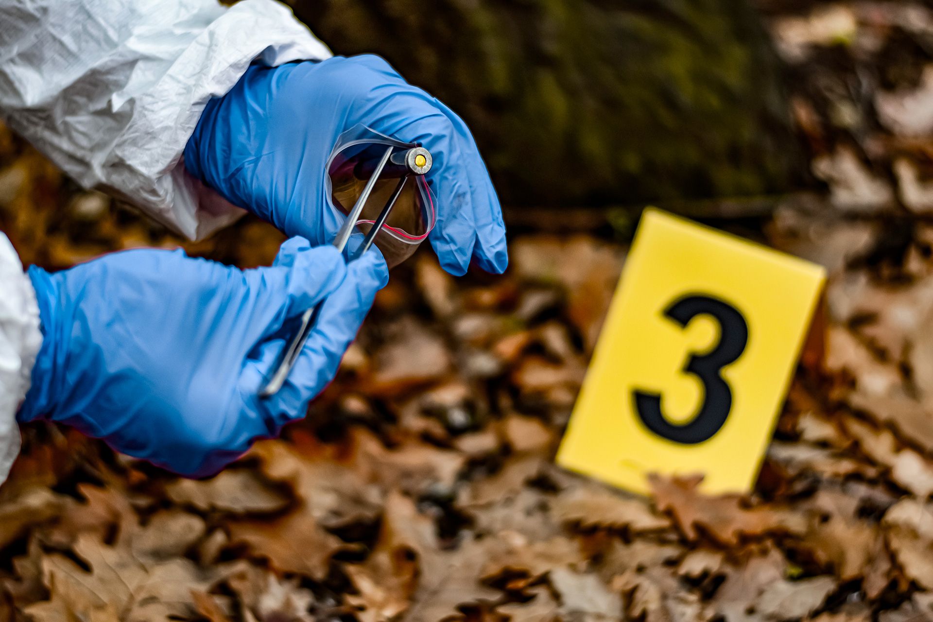 Forensic Factor: A New Era - Productions - Attraction